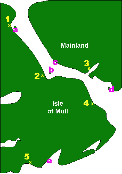 Diving Mull